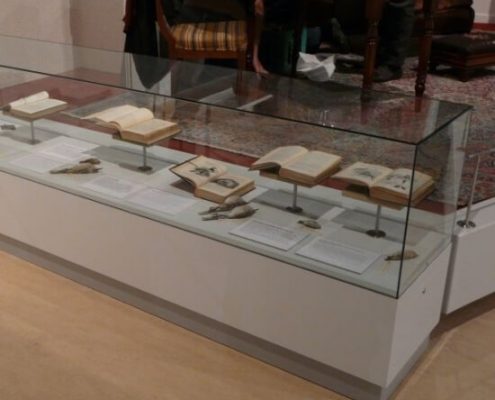 Quality Museum Display Cases & Cabinets - Access Displays