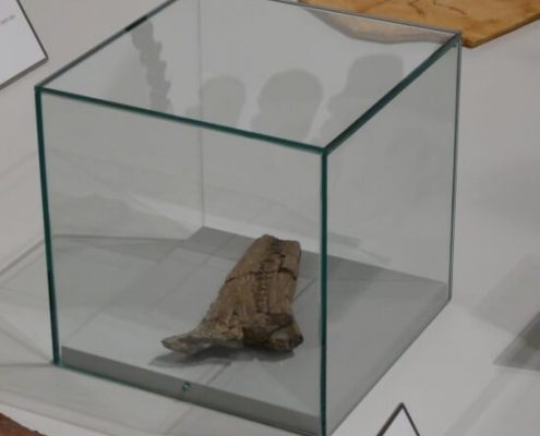 Quality Museum Display Cases & Cabinets - Access Displays