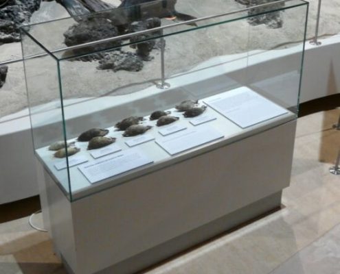 Quality Museum Display Cases & Cabinets - Access Displays