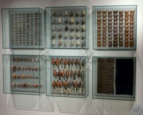 Quality Museum Display Cases & Cabinets - Access Displays
