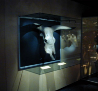 Quality Museum Display Cases & Cabinets - Access Displays