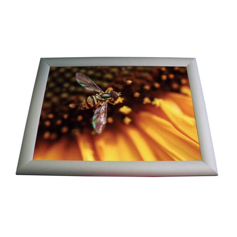 Sentry A4 Poster Display Stand, Portrait or Landscape - Access Displays
