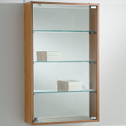 Wall Mounted Glass Showcases, Trophy Cabinets