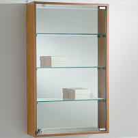 Wall Mounted Glass Showcases, Trophy Cabinets