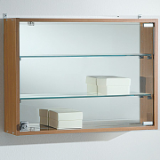Wall Mounted Glass Showcases, Trophy Cabinets